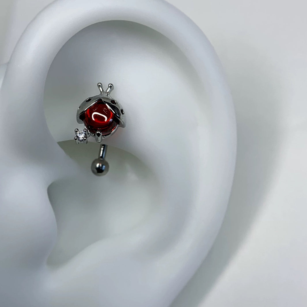 Rook & Daith Earrings – Rera